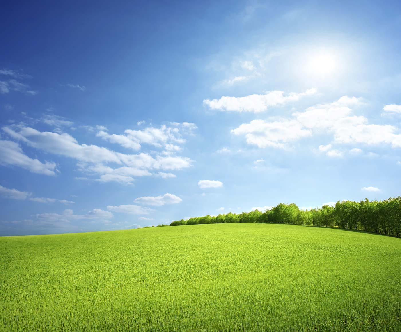Counselling & Psychotherapy - Stuart Camp - Clear Path Journeys
